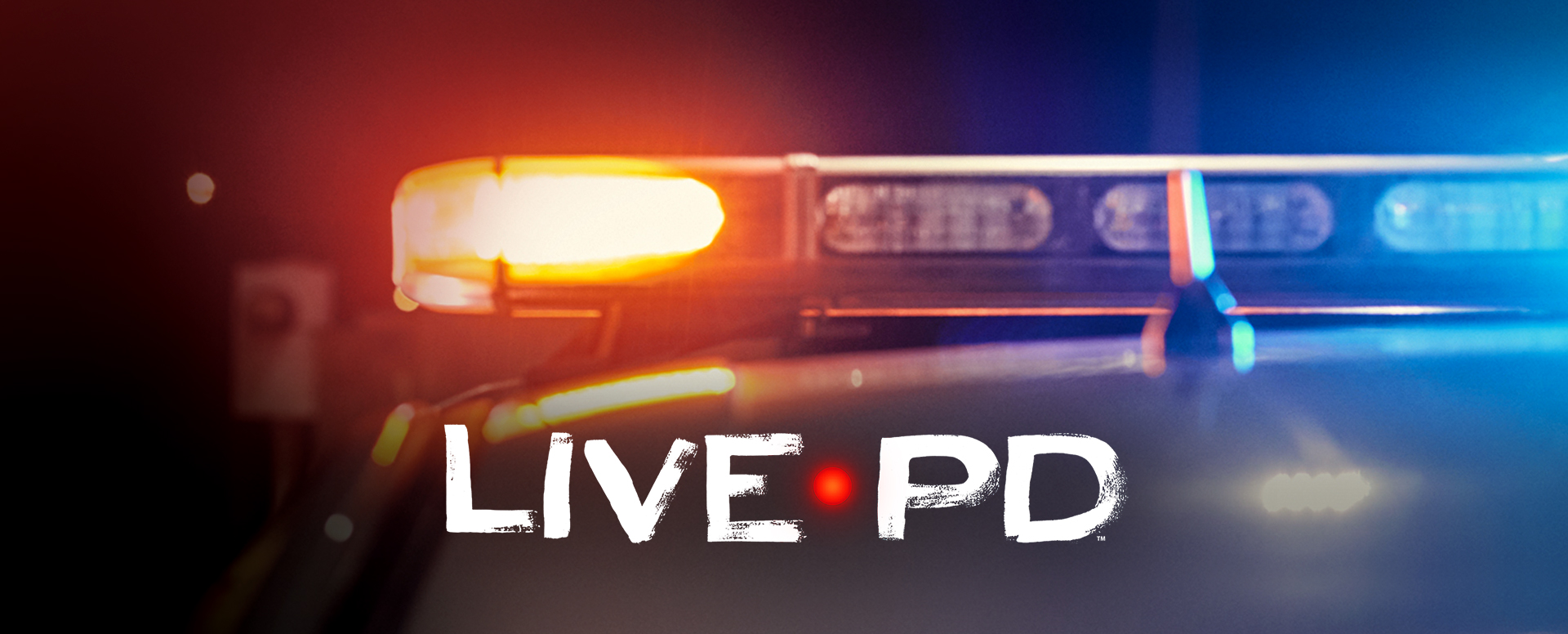 The LivePD Experience Infographic Website | Gabriel Pereira